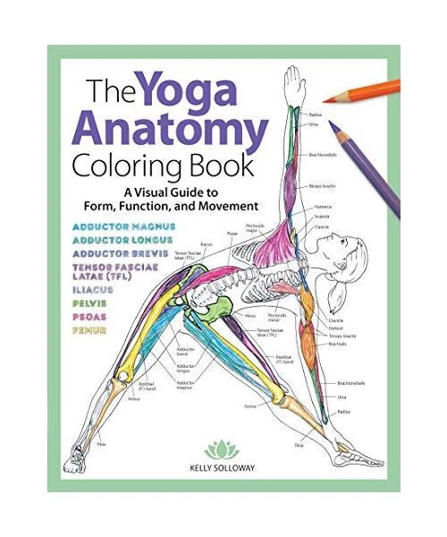 THE YOGA ANATOMY Coloring Book: A Visual Guide to Form, Function, and ...